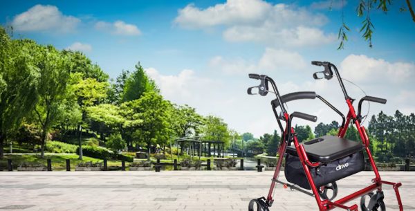 Experience Comfort and Independence with the Duet Rollator/Transport ...